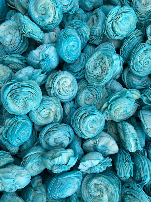 Blue Shell - Luv My Flowers Wholesale