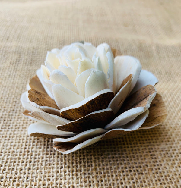 Sola Rosey Skin Flower - Sola Wood Flowers - LMF - Luv My Flowers Wholesale